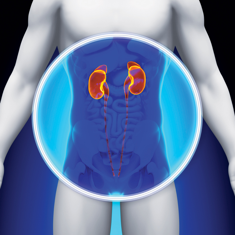 Icd 10 Cm Code For Anemia Of Renal Disease Icd 10 Cm Code For Anemia Of Renal Disease