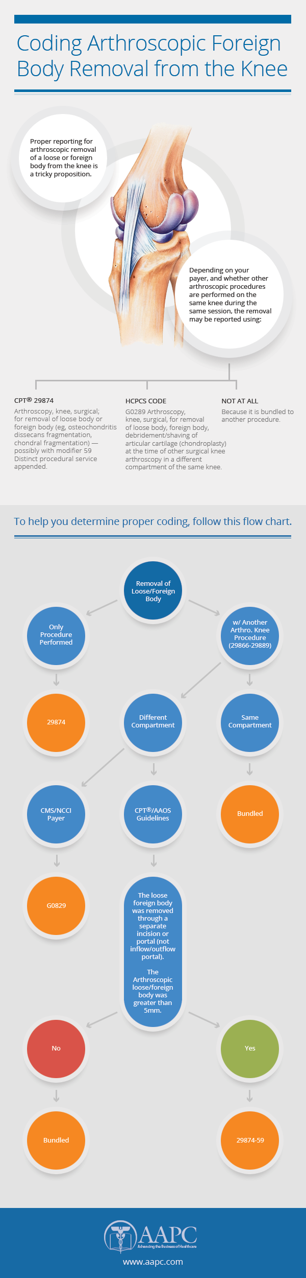 Infographic Coding Arthroscopic Foreign Body Removal AAPC Knowledge 