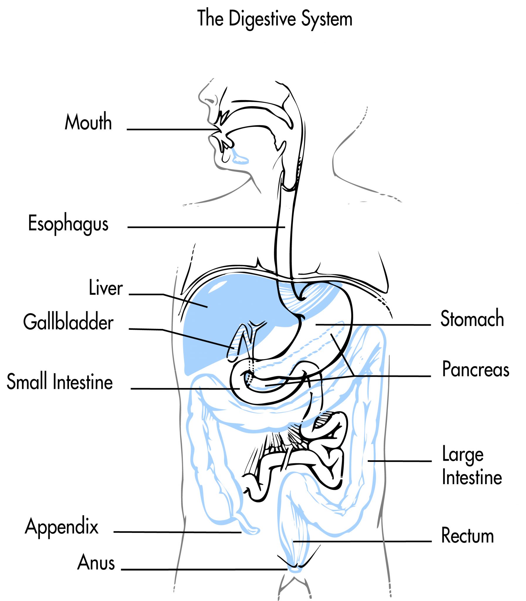 Gastrostomy Icd 10 Gastrostomy Icd 10