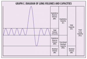 Reach Full Capacity of Pulmonary Function Test Coding - AAPC Knowledge ...