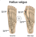 CPT® 2024 Is Here! - AAPC Knowledge Center