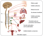 CPT® 2024 Is Here! - AAPC Knowledge Center
