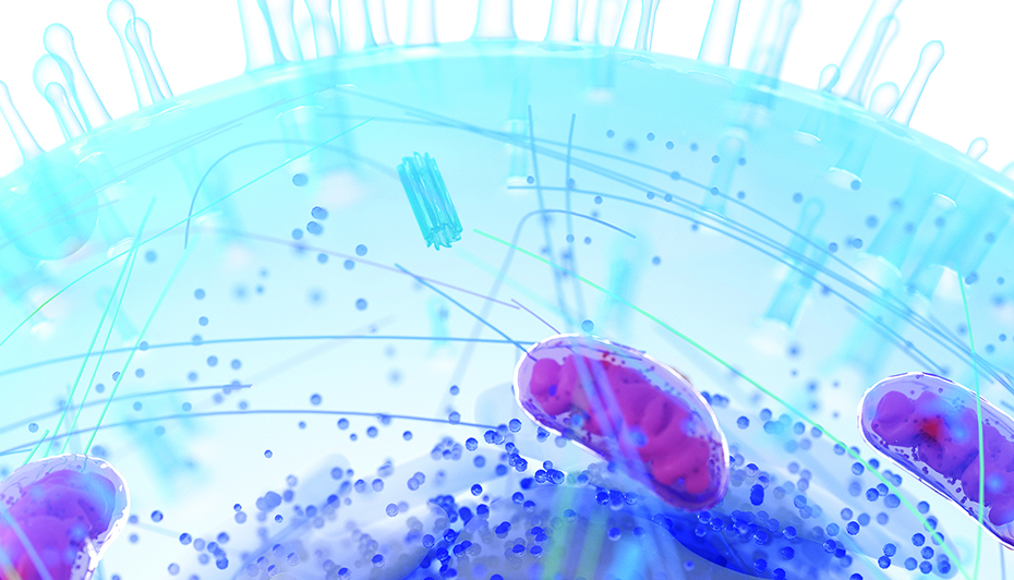 Coding MED13L Syndrome - AAPC Knowledge Center