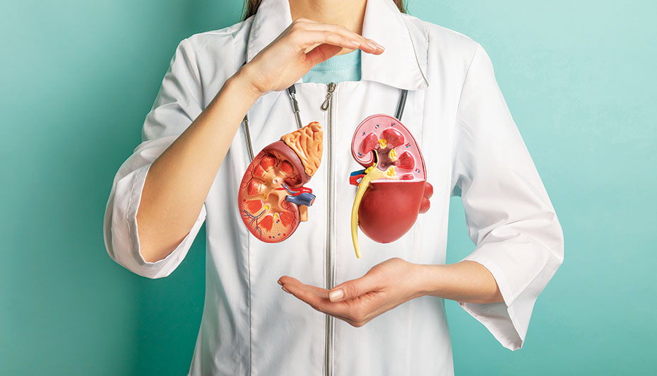 Kidney Stones: Breaking Down Endoscopic Lithotripsy - AAPC Knowledge Center